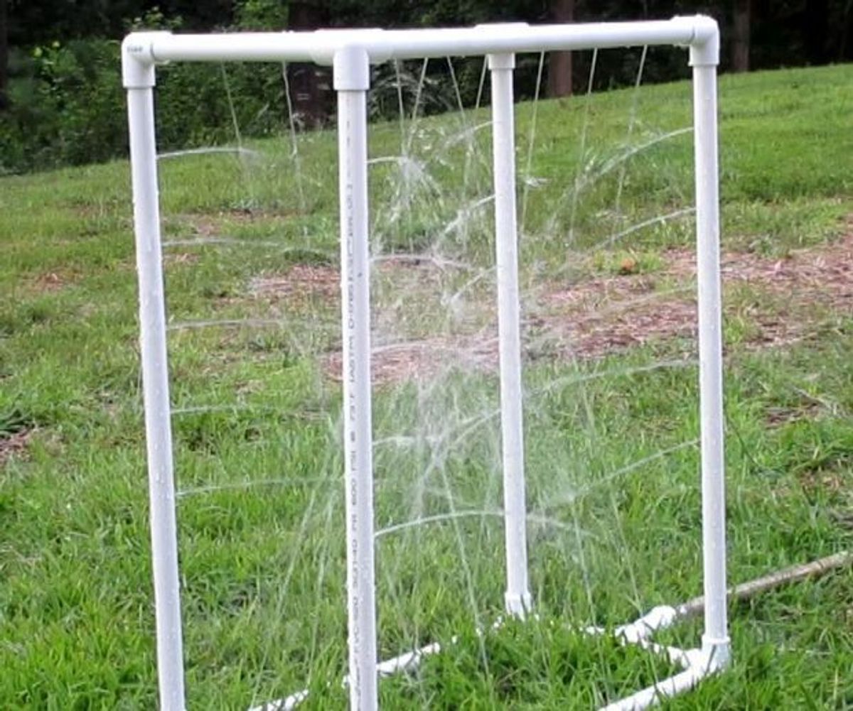 How to Build a DIY Dog Agility Course – PetsForLife