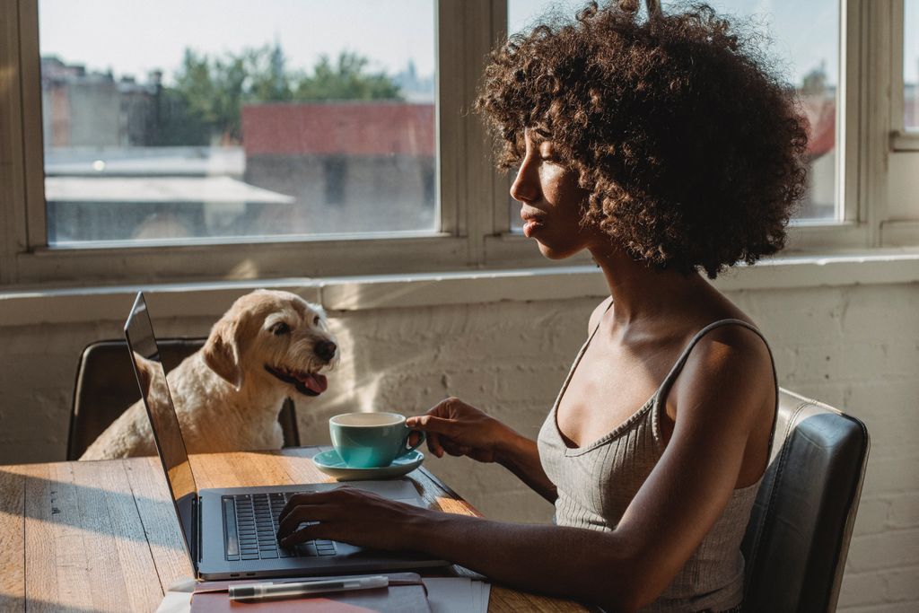 Hydration on the Move: Top Dog Travel Cups for Pet Parents – PetsForLife